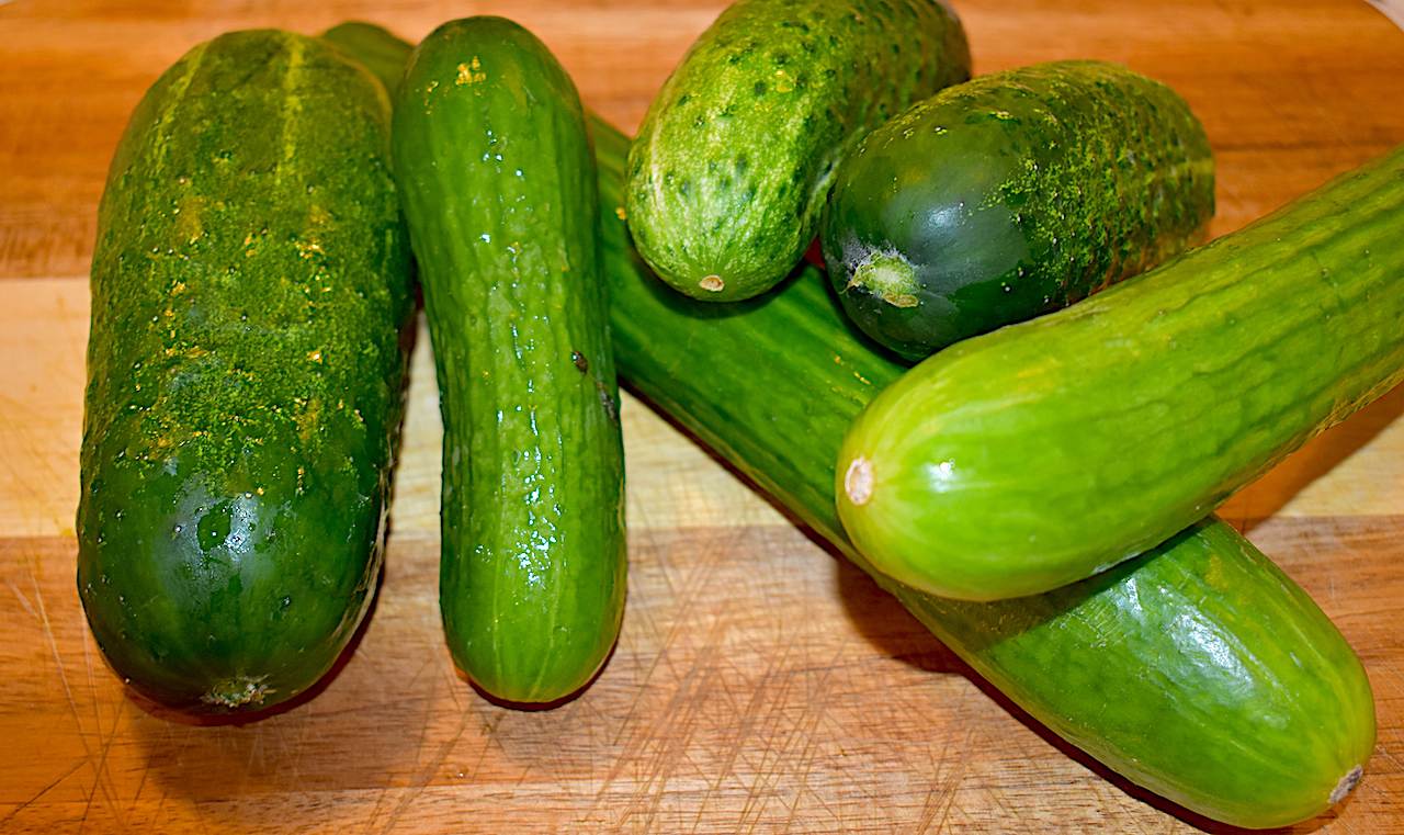 Quick Cucumber Pickles – Rolling Harvest Food Rescue