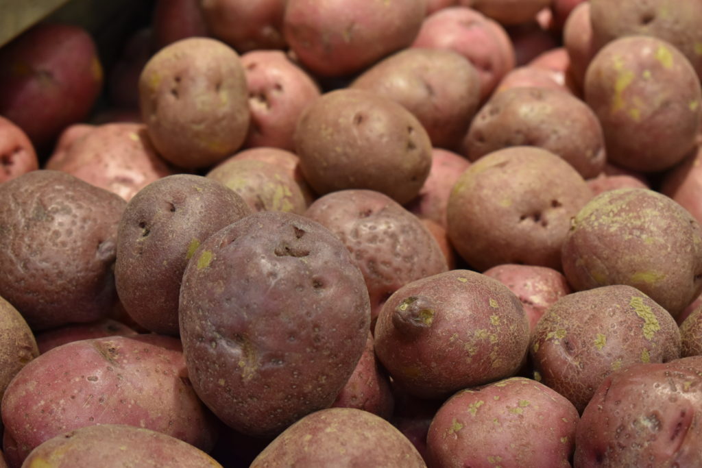 Potatoes Colcannon – Rolling Harvest Food Rescue